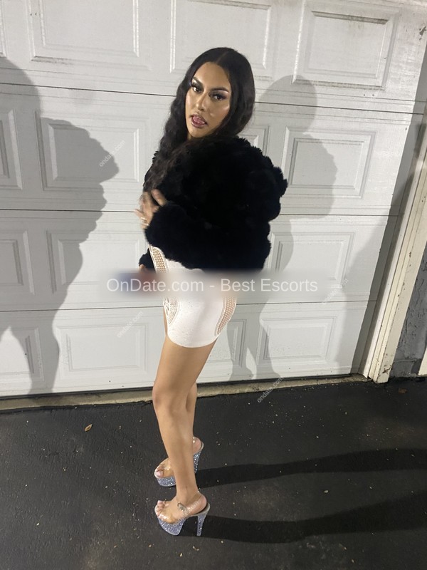 San Bernardino Escorts - TS Escort 🔥 California Call Trannys | OnDate